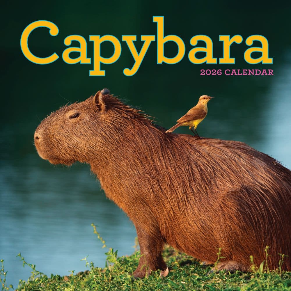 Capybara Wall - Calendars.com