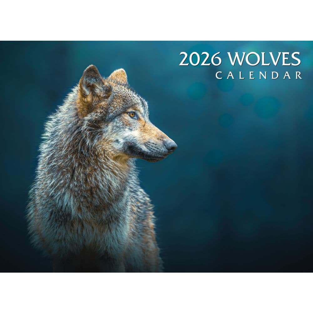 Wolves 2026 Wall Calendar - Calendars.com