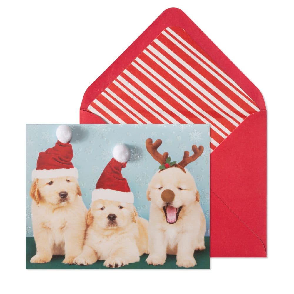Photo Puppies 10 Count Boxed Christmas Cards - NIQUEA.D - Calendars.com