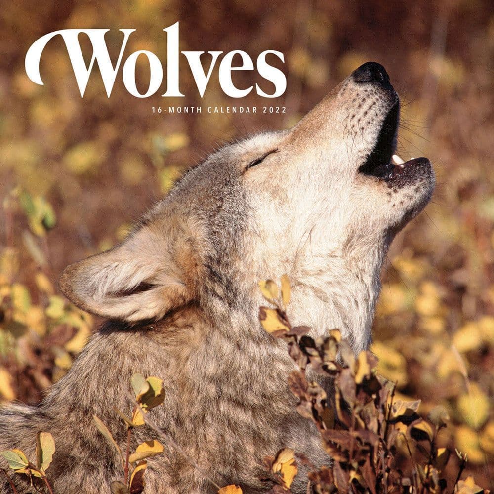 Wolves 2022 Calendar