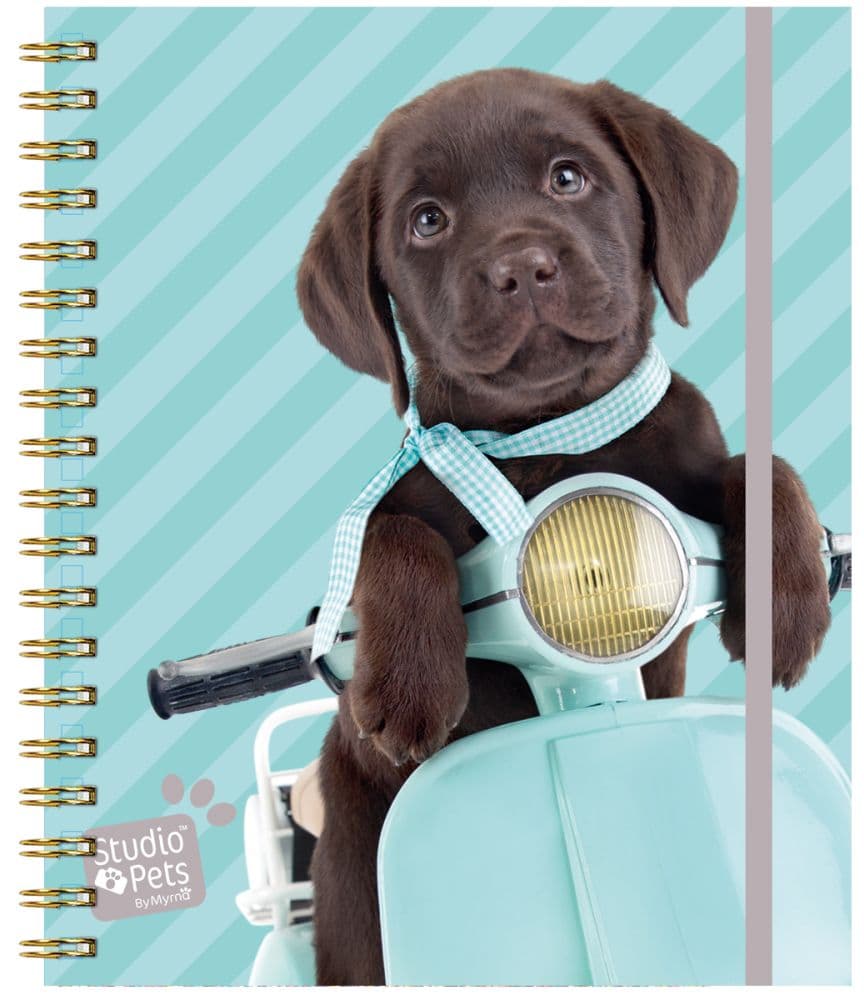 Puppies Perpetual Calendar by Studio Pets - Calendars.com
