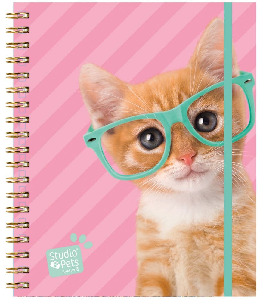 Kittens Perpetual Calendar by Studio Pets - Calendars.com