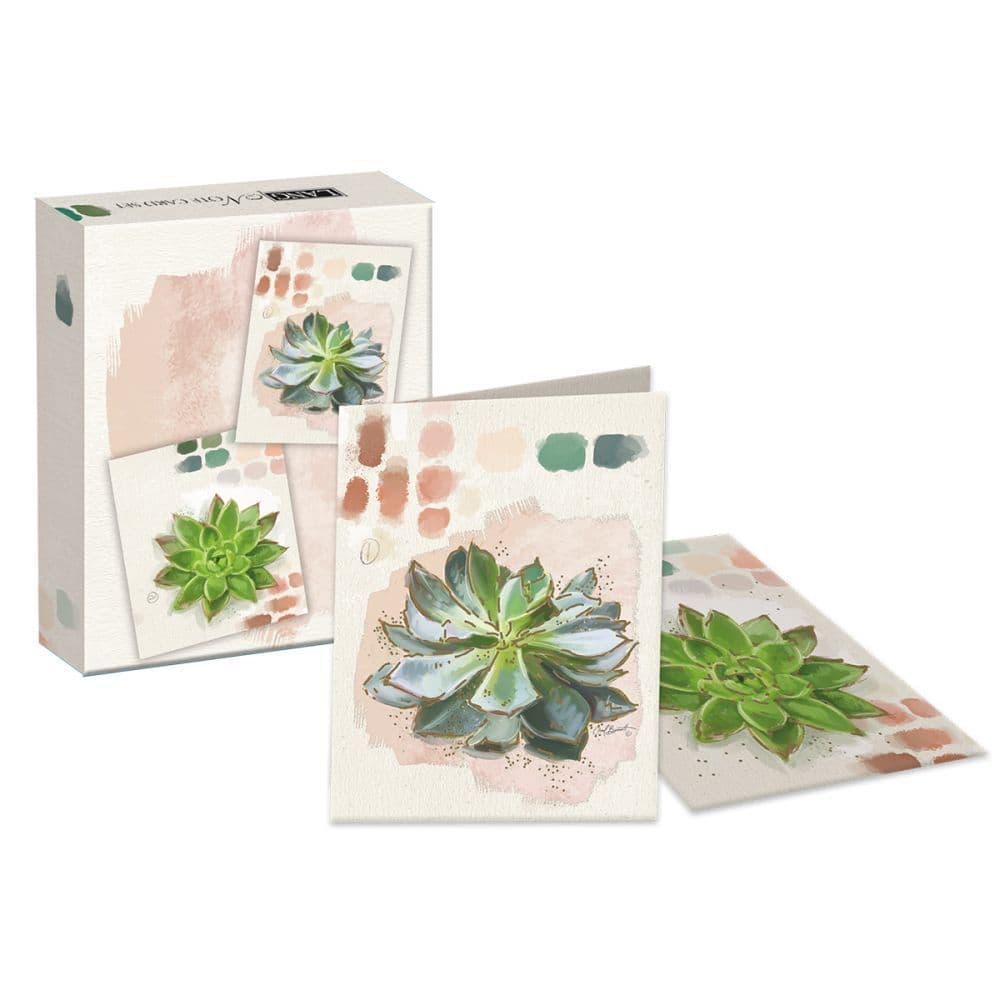 Succulent Study Assorted Boxed Note Cards by Chad Barrett - Calendars.com