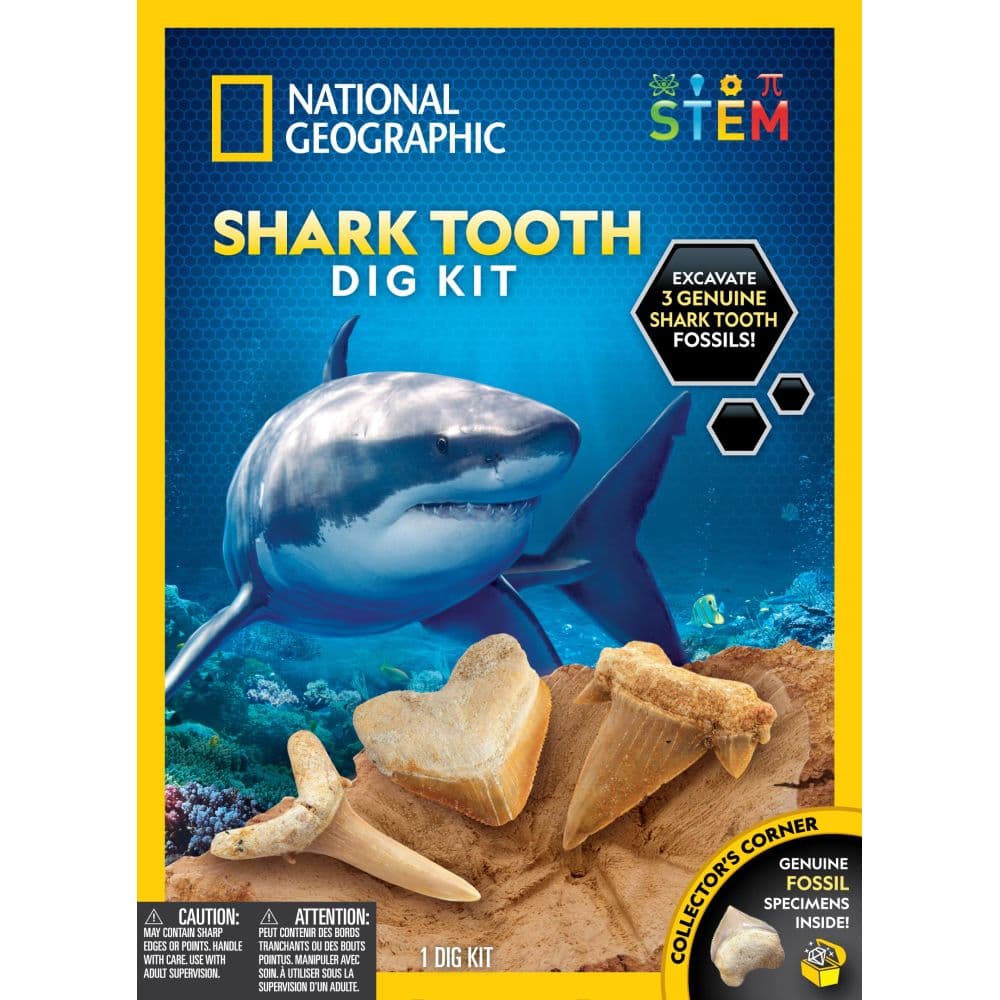 National Geographic Shark Tooth Dig Kit - Calendars.com