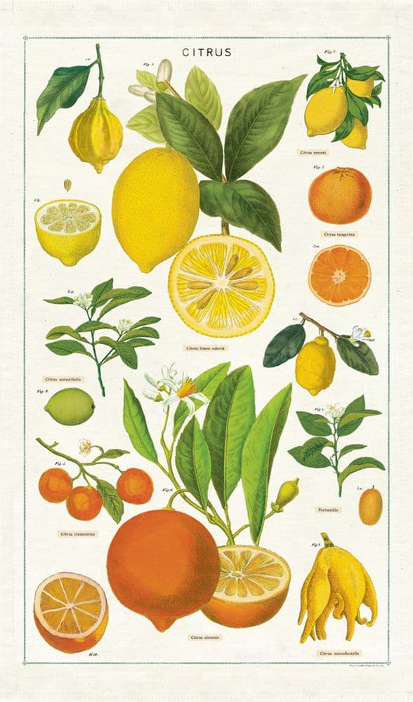 Citrus Tea Towel - Calendars.com