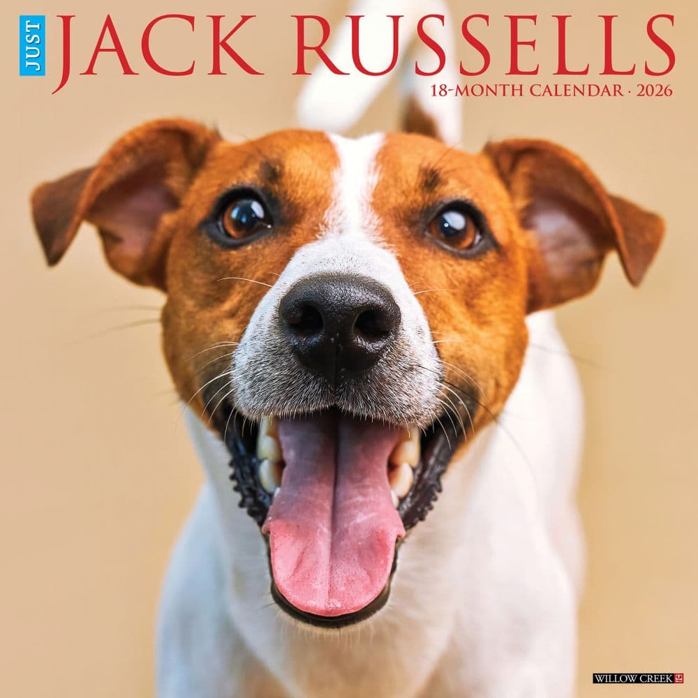 Just Jack Russells 2026 Wall Calendar - Calendars.com