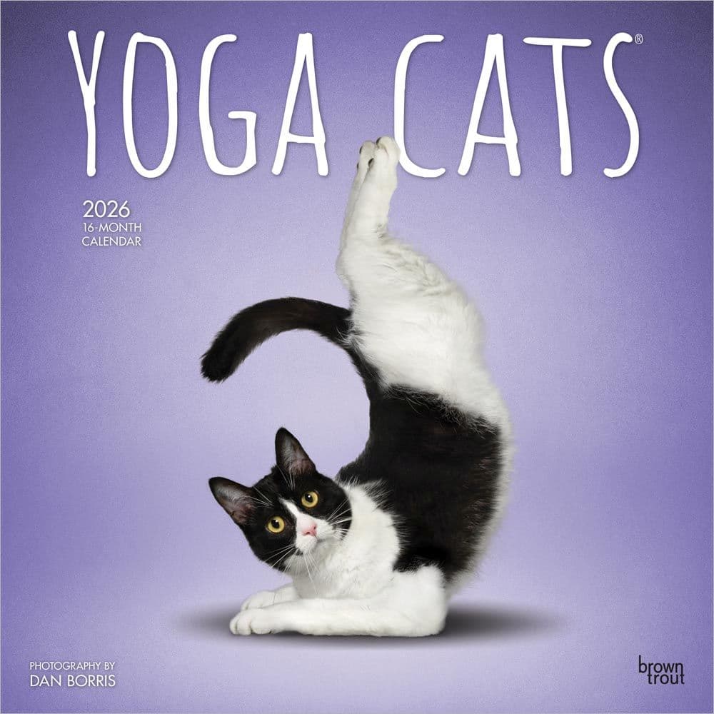 Yoga Cats 2026 Wall Calendar - Calendars.com
