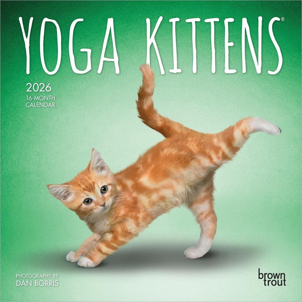 Yoga Kittens 2026 Mini Wall Calendar - Calendars.com