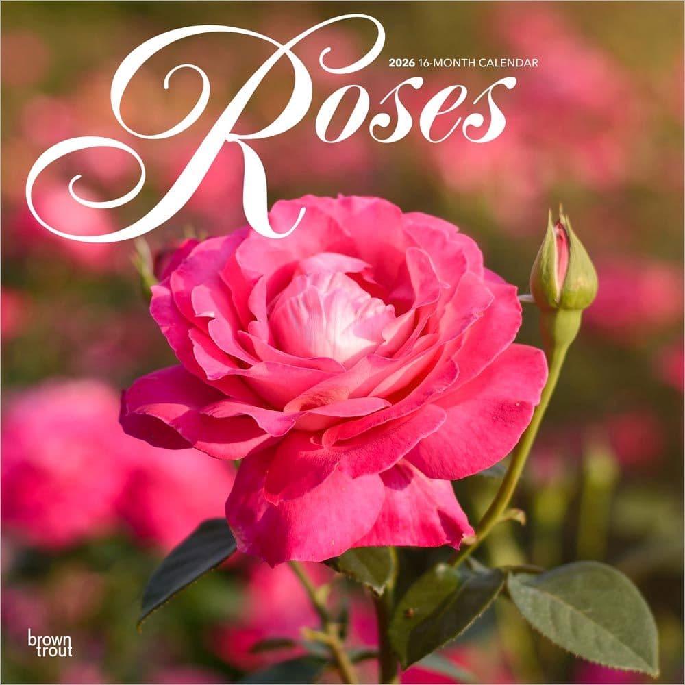 Roses 2026 Wall Calendar - Calendars.com