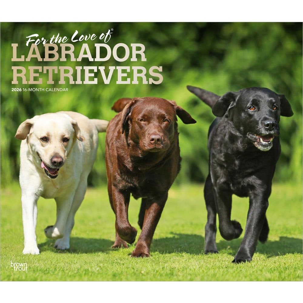 Lab Retrievers 2026 Deluxe Wall Calendar - Calendars.com