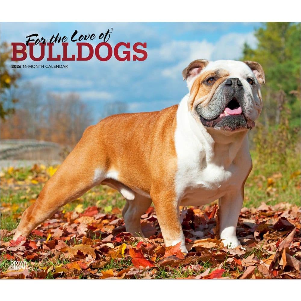Bulldogs 2026 Deluxe Wall Calendar - Calendars.com