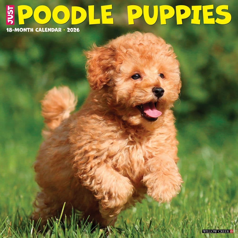 Poodle Puppies Just 2026 Wall Calendar - Calendars.com