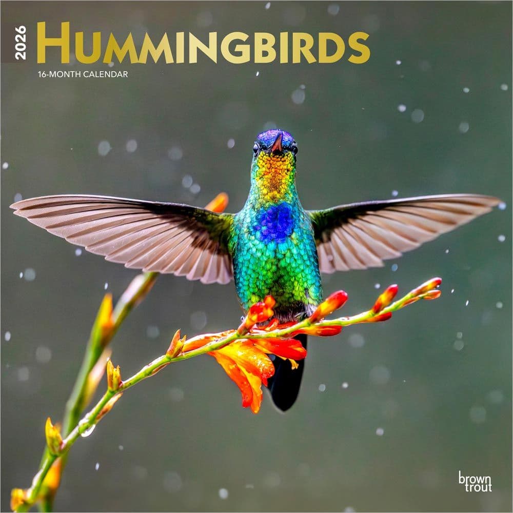 Hummingbirds 2026 Wall Calendar - Calendars.com