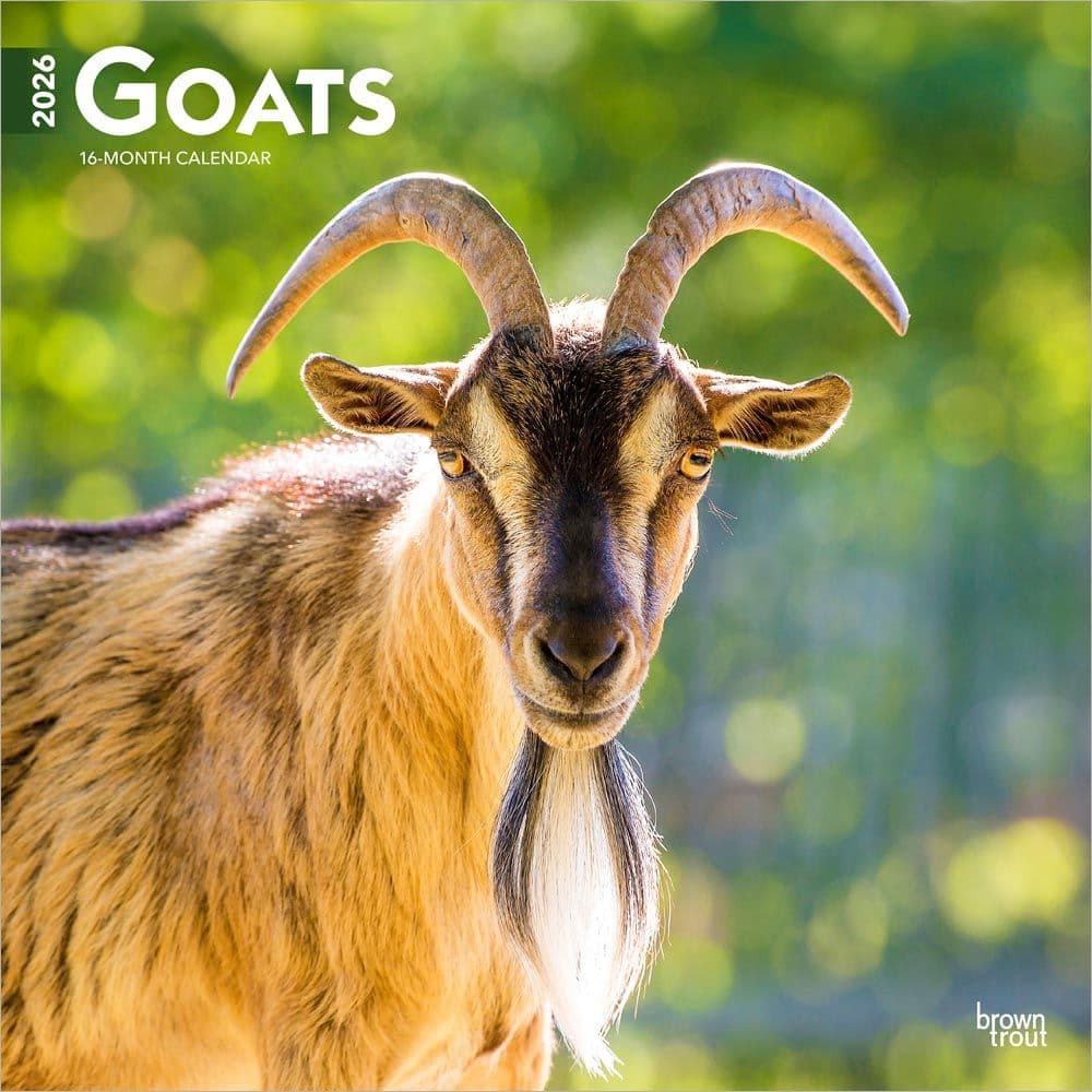 Goats 2026 Wall Calendar - Calendars.com