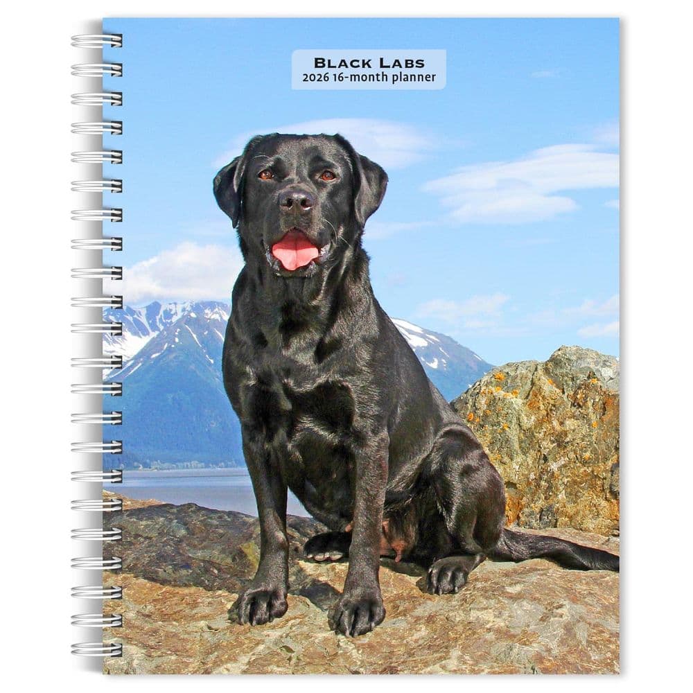 Black Labrador Retrievers 2026 Planner - Calendars.com