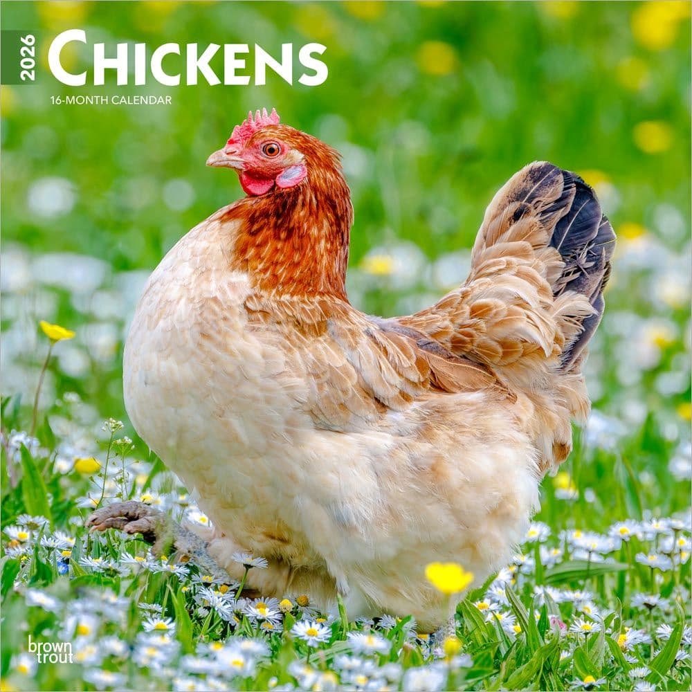 Chickens 2026 Wall Calendar - Calendars.com