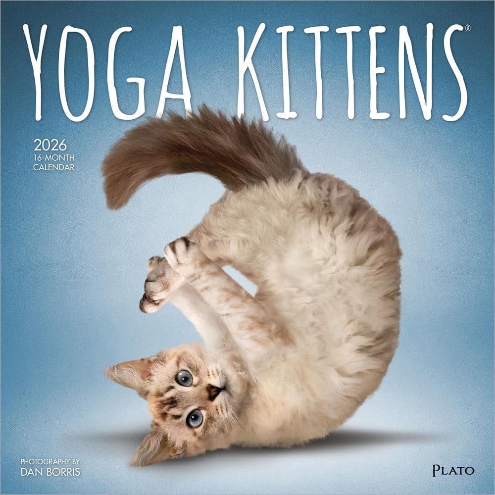 Yoga Kittens Plato 2026 Wall Calendar - Calendars.com