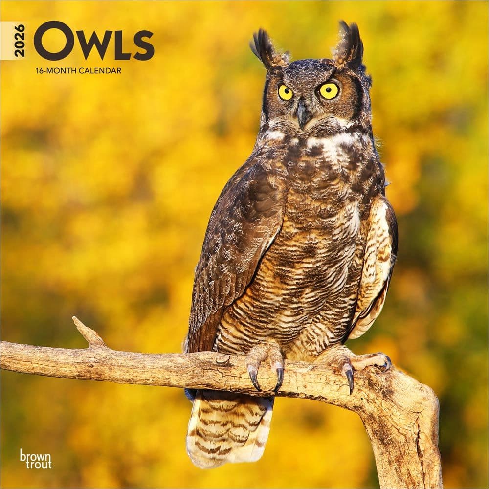 Owls 2026 Wall Calendar - Calendars.com