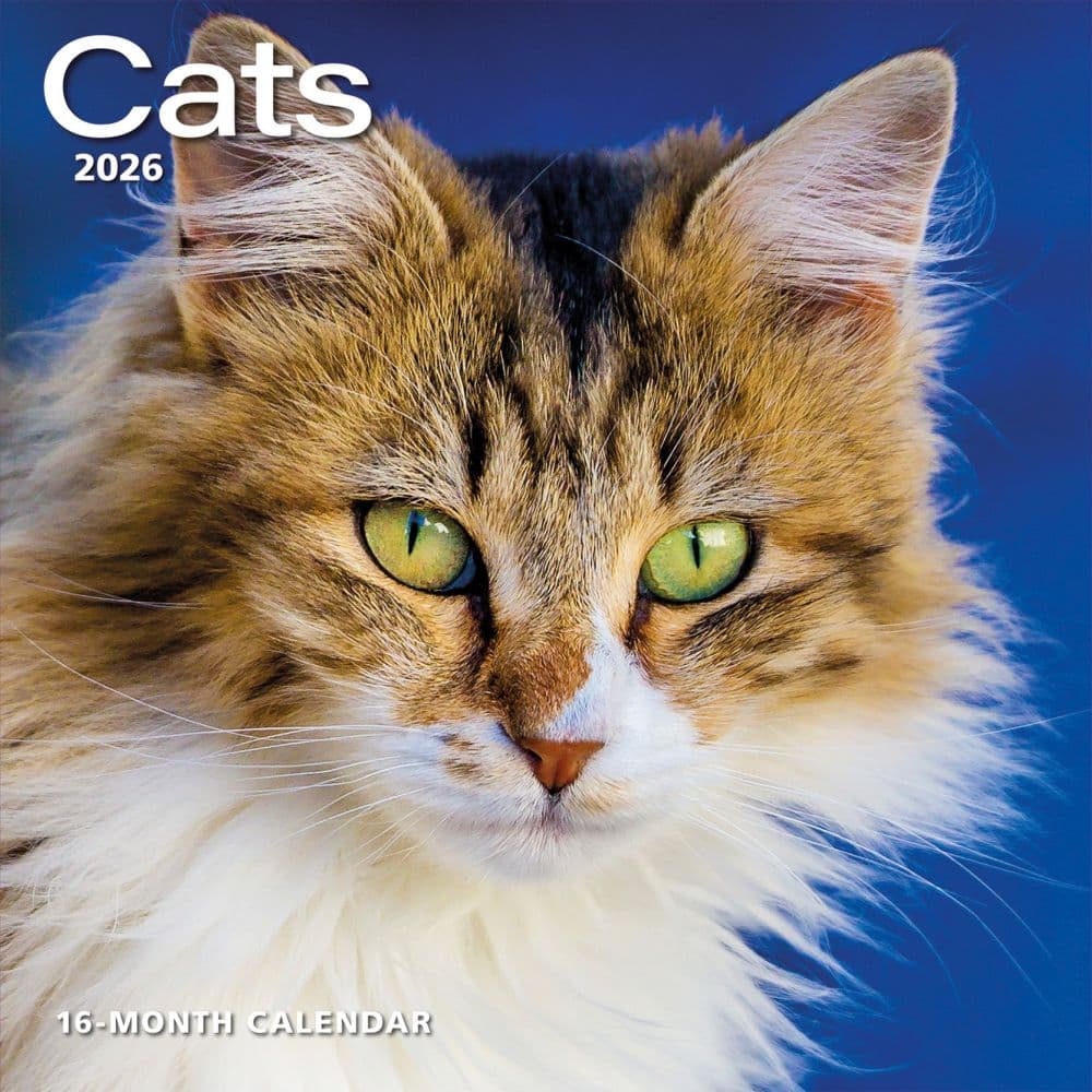 Cats 2026 Wall Calendar - Calendars.com