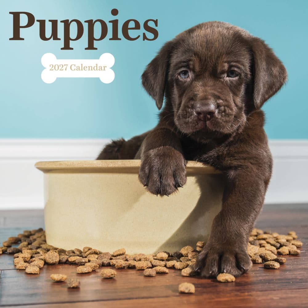 Puppies 2027 Wall Calendar - Calendars.com