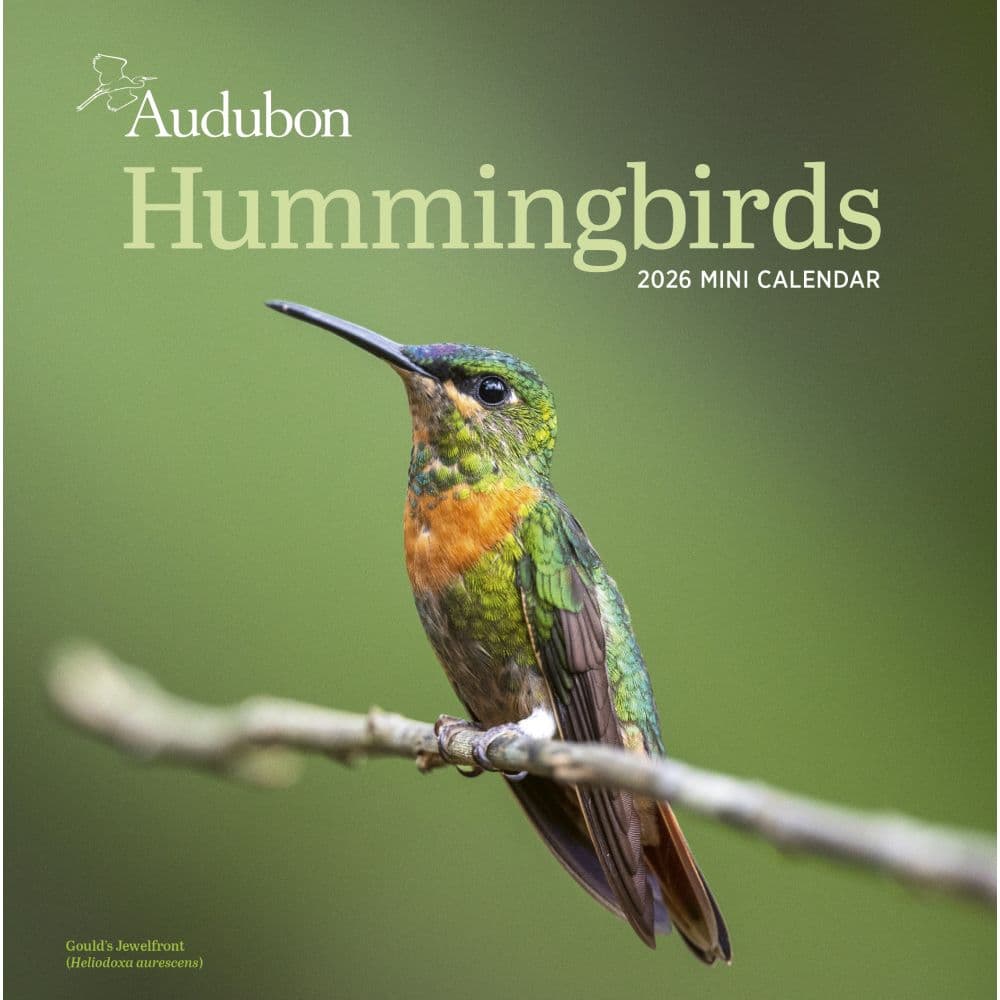 Audubon Hummingbirds and Beyond 2026 Mini Wall Calendar - Calendars.com