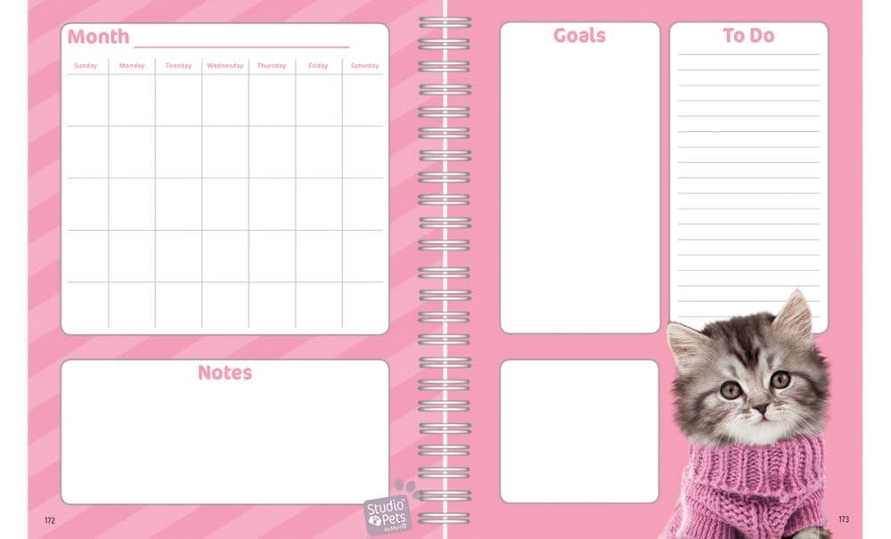 Kittens Perpetual Calendar by Studio Pets - Calendars.com