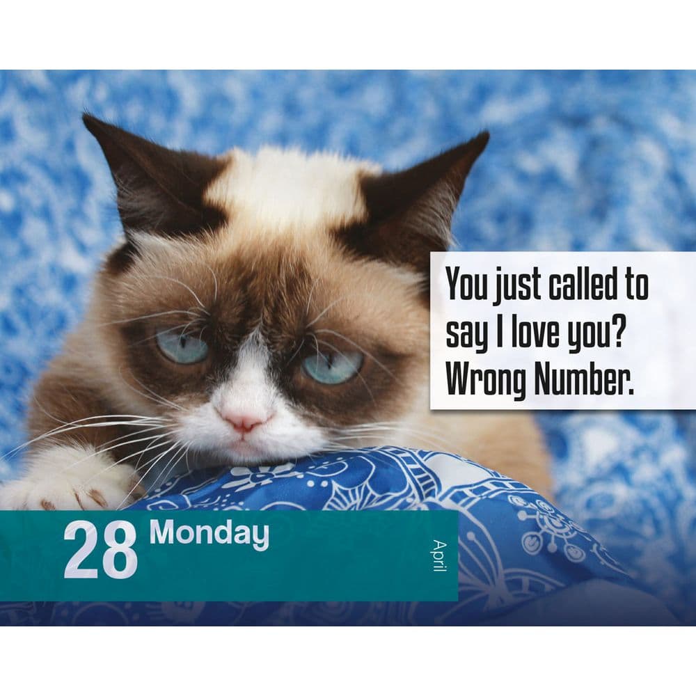 Grumpy Cat 2025 Desk Calendar - Calendars.com Grumpy Cat 2025 Desk Calendar - Calendars.com