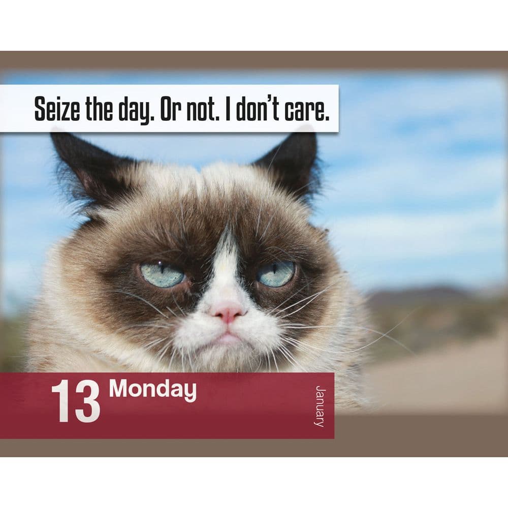 Grumpy Cat 2025 Desk Calendar - Calendars.com Grumpy Cat 2025 Desk Calendar - Calendars.com