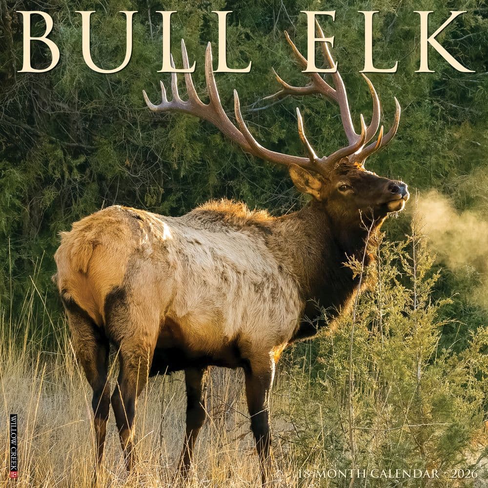 Elk Bull 2026 Wall Calendar - Calendars.com