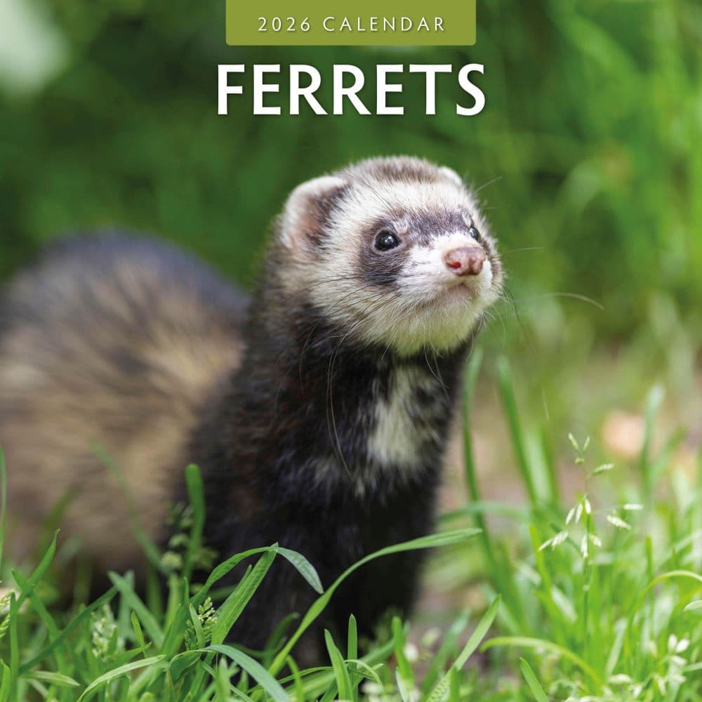 Ferrets Wall (REDROB) - Calendars.com