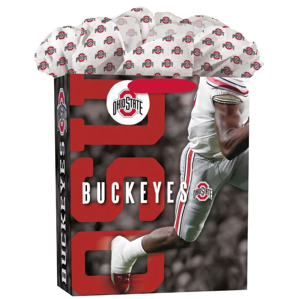 Ohio State Buckeyes Large GoGo Gift Bag - Calendars.com