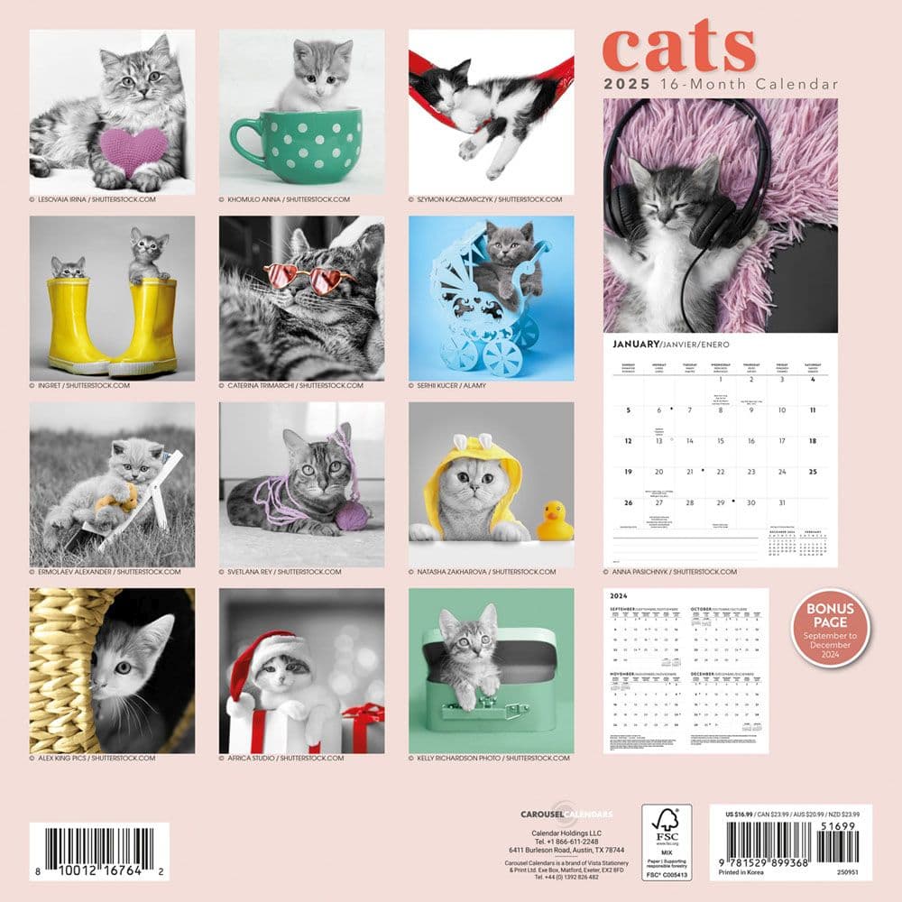 Classic Cats 2025 Wall Calendar - Calendars.com