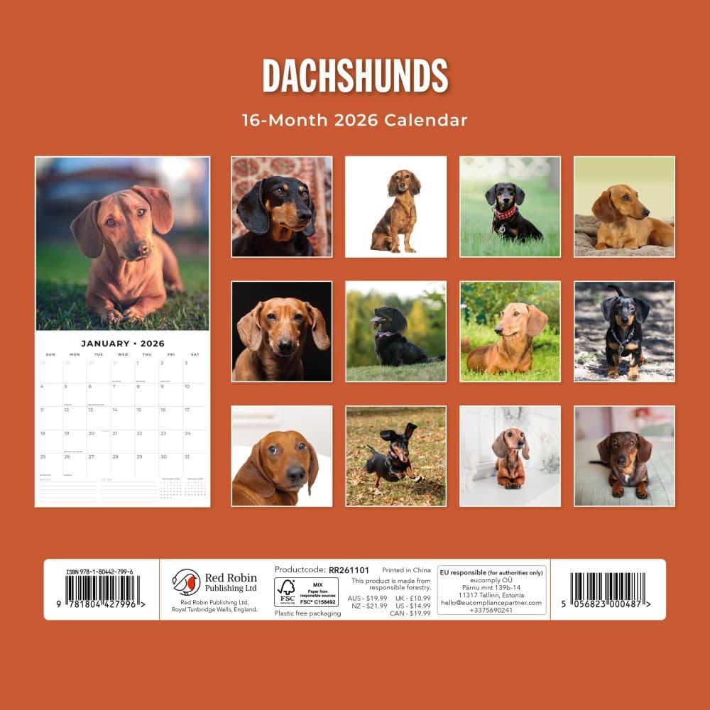 Dachshunds Wall (REDROB) - Calendars.com