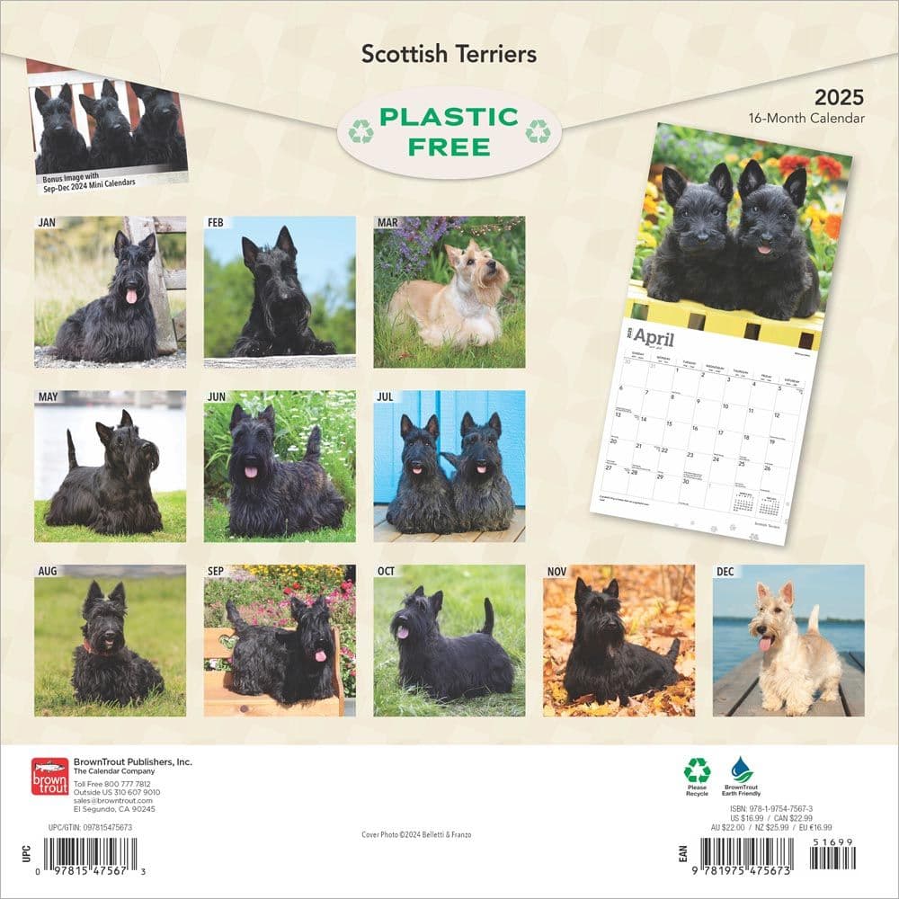 Scottish Terriers 2025 Wall Calendar - Calendars.com