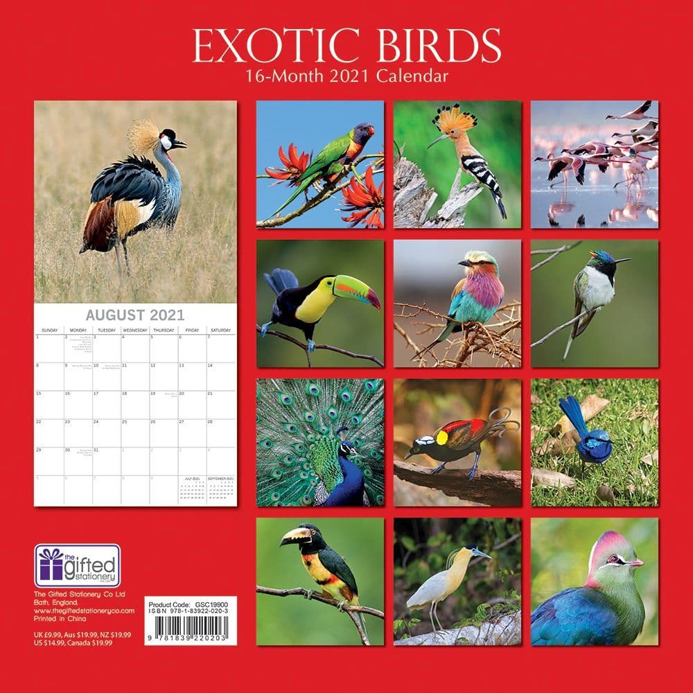 Paper Calendars & Planners 2021 Bird Calendar etna.com.pe