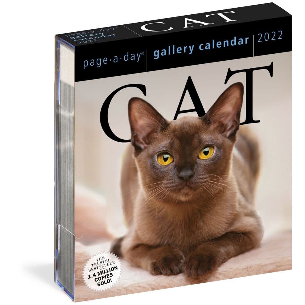 Cat 2022 Page A Day Gallery Calendar Calendars