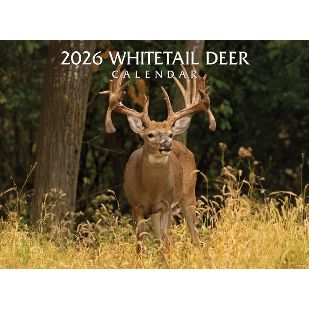 Whitetail Deer 2026 Wall Calendar - Calendars.com