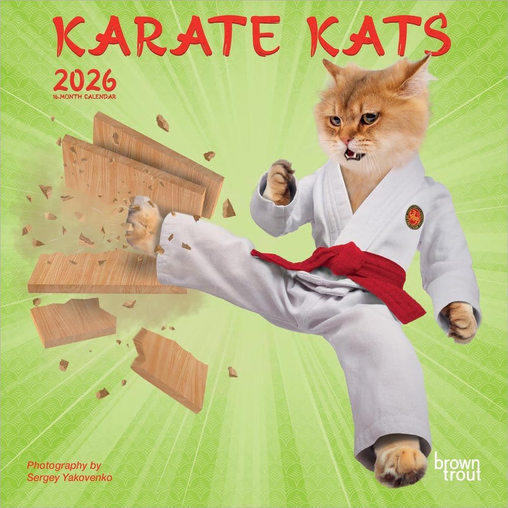 Karate Cats 2026 Mini Wall Calendar - Calendars.com