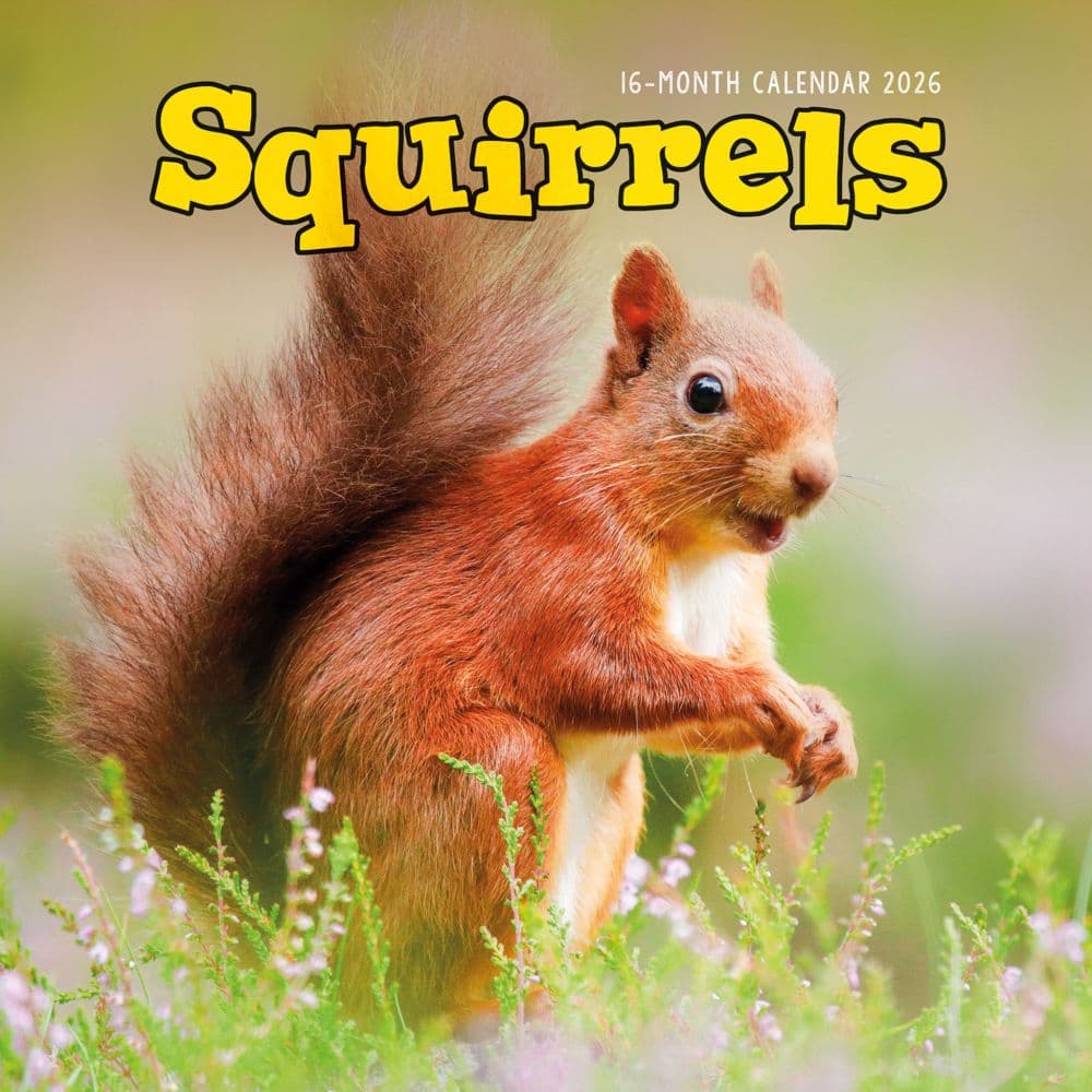 Squirrels 2026 Wall Calendar - Calendars.com