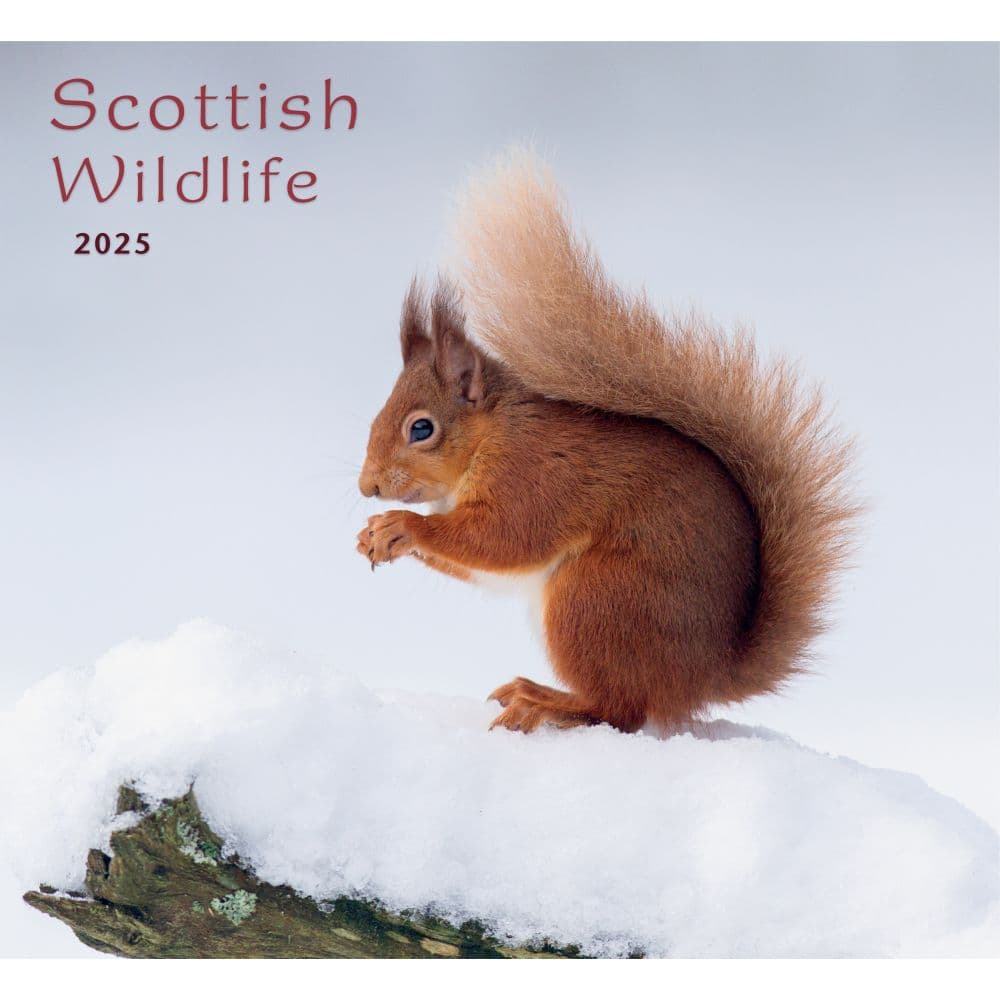 Scottish Wildlife 2025 Wall Calendar - Calendars.com