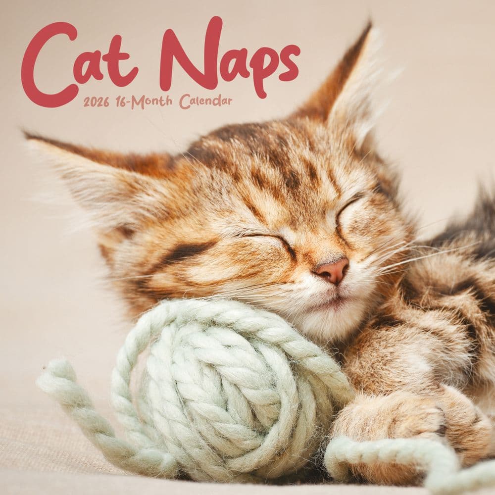 Cat Naps 2026 Wall Calendar - Calendars.com