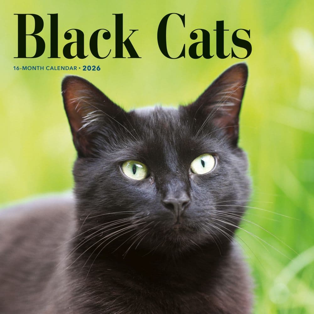Black Cats 2026 Wall Calendar - Calendars.com