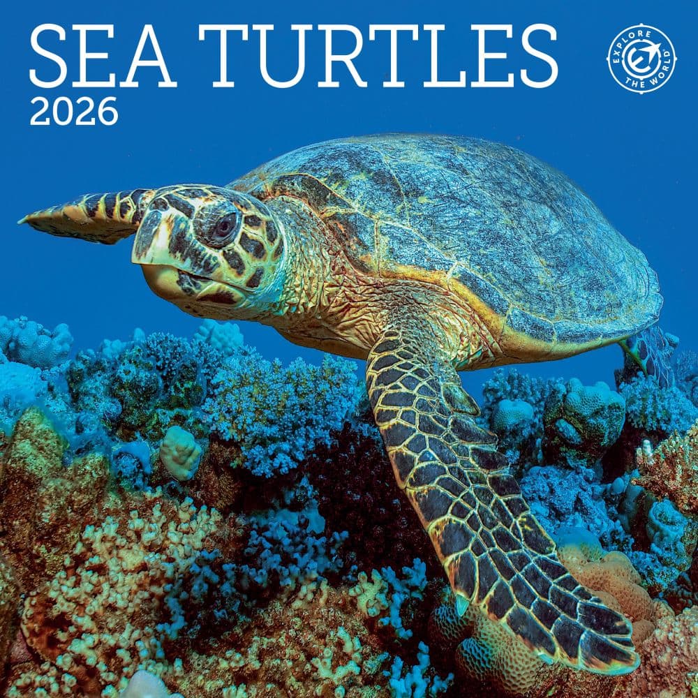 Sea Turtles 2026 Mini Wall Calendar - Calendars.com