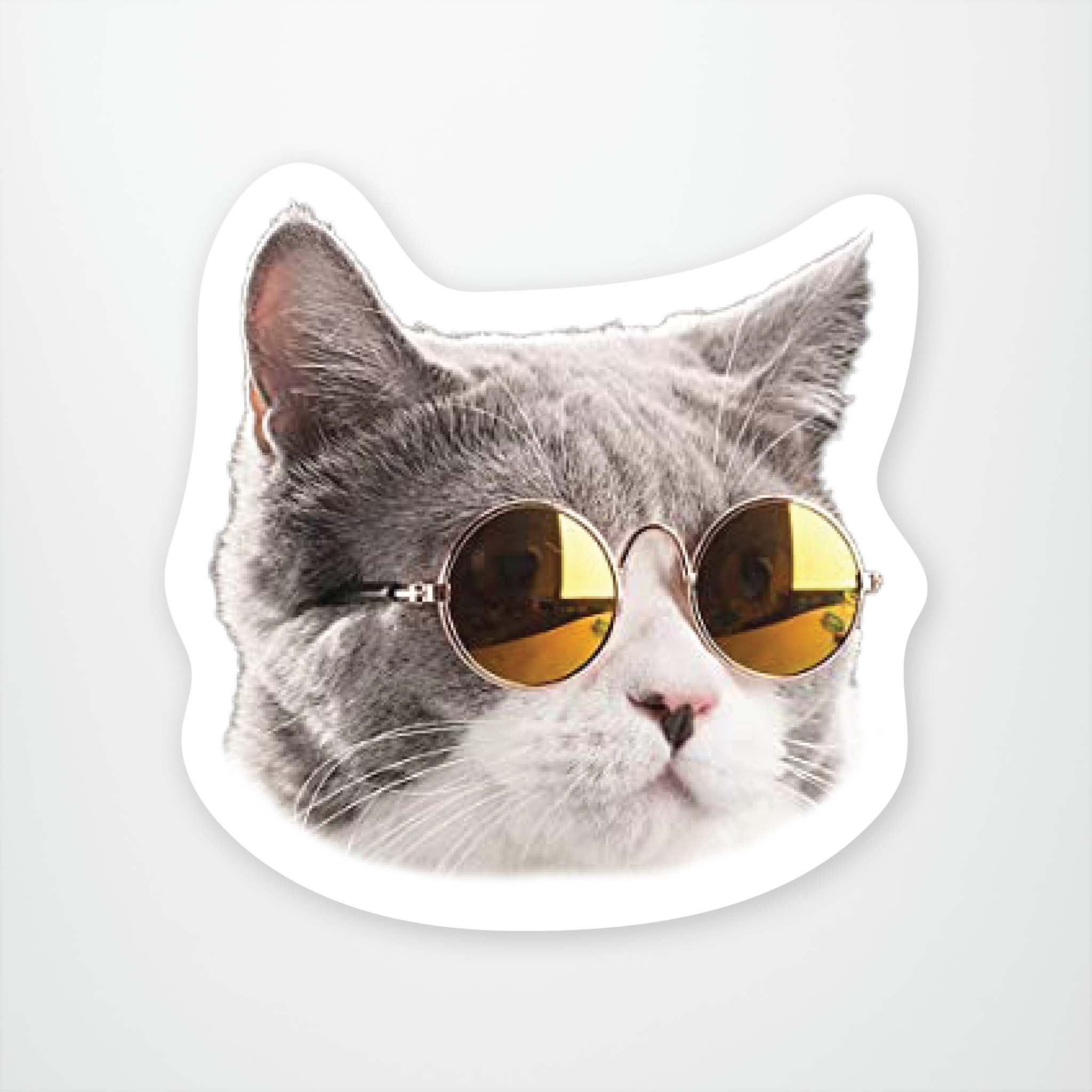 Cat With Glasses Sticker - Calendars.com