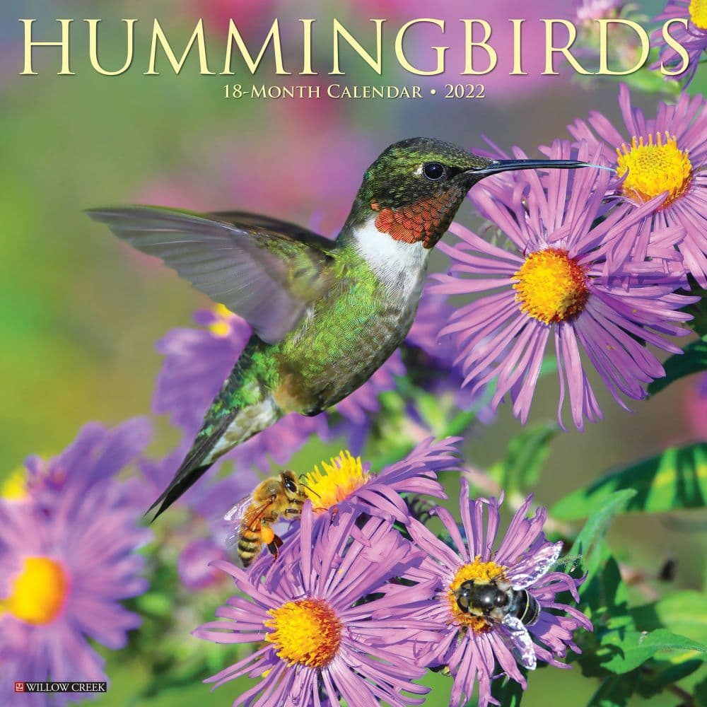 Paper Paper & Party Supplies Hummingbirds 2022 Wall Calendar etna.com.pe