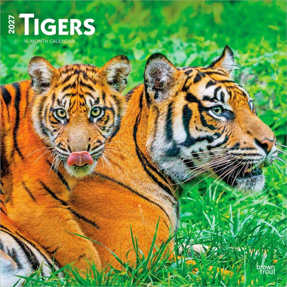 Tigers 2027 Wall Calendar - Calendars.com