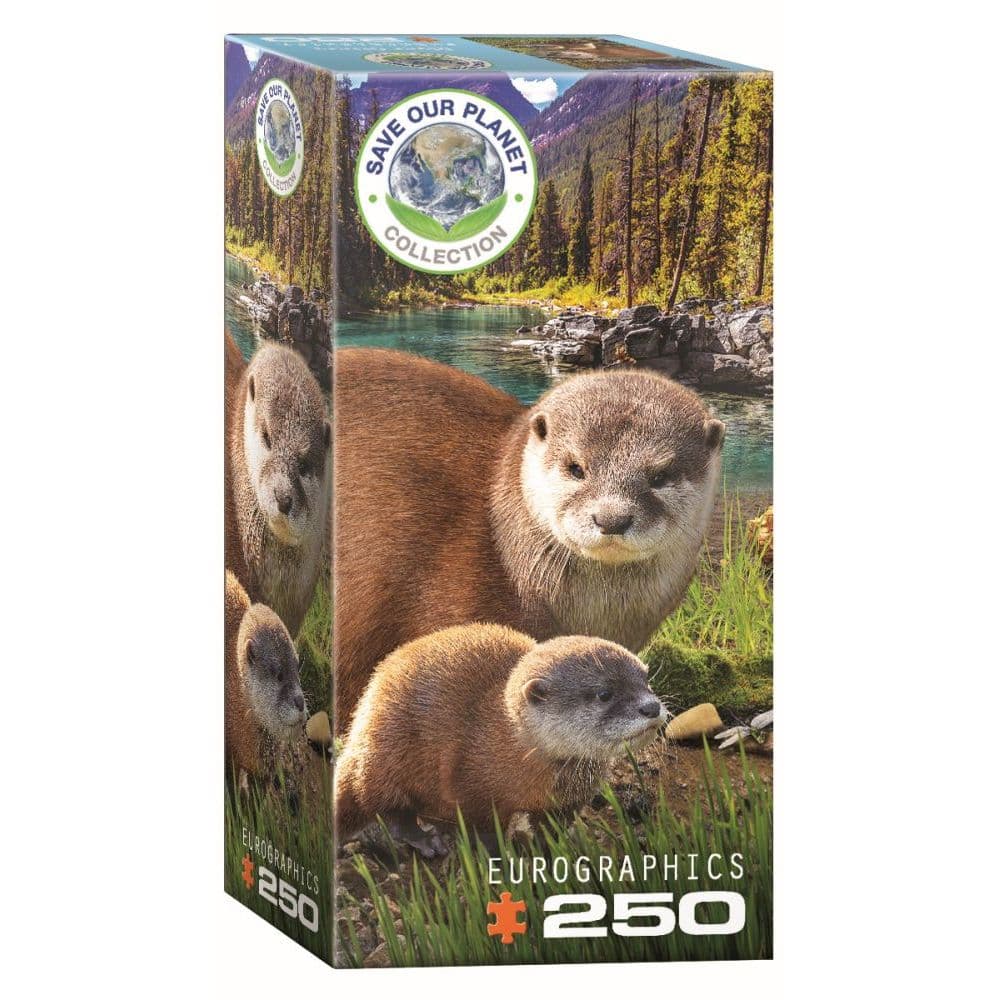 Otter 250pc Puzzle - Calendars.com
