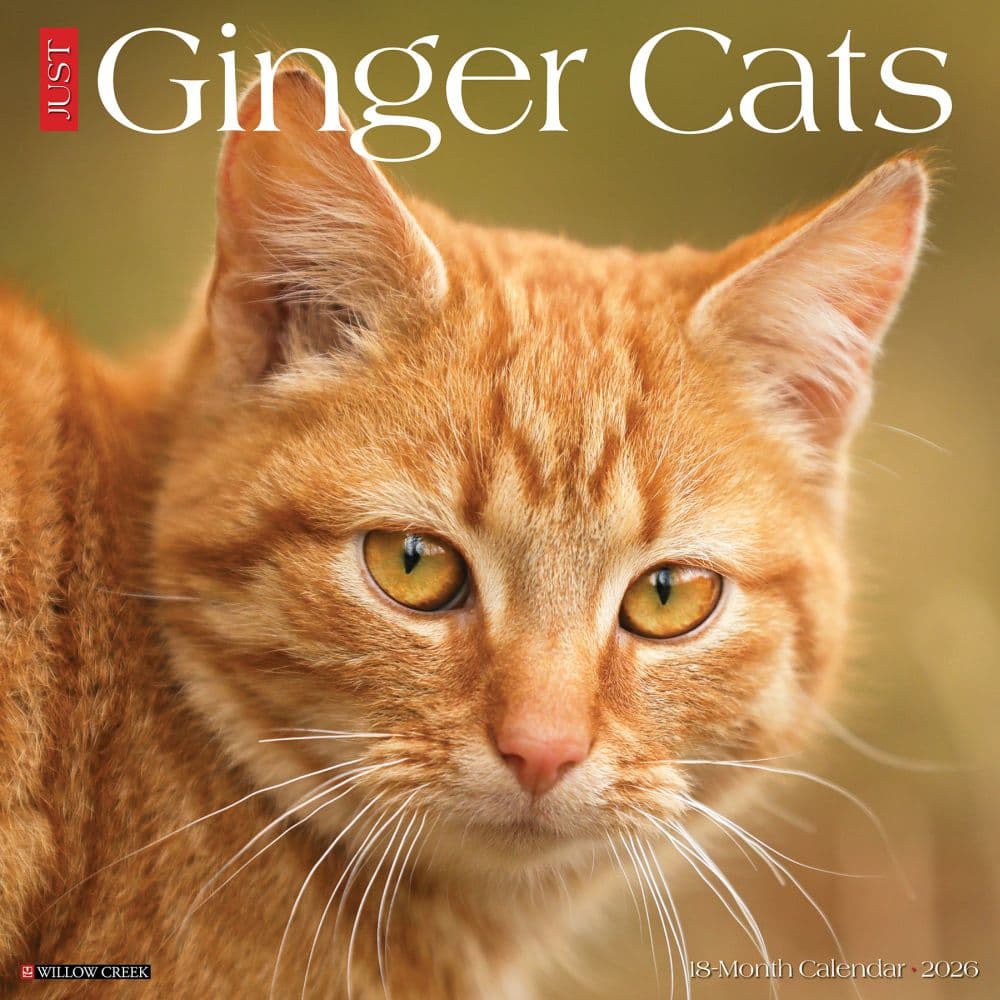 Ginger Cats 2026 Wall Calendar - Calendars.com