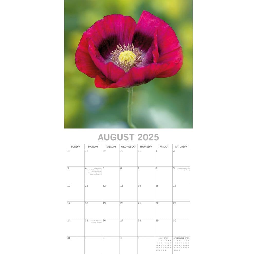 Flower of the Month 2025 Wall Calendar - Calendars.com