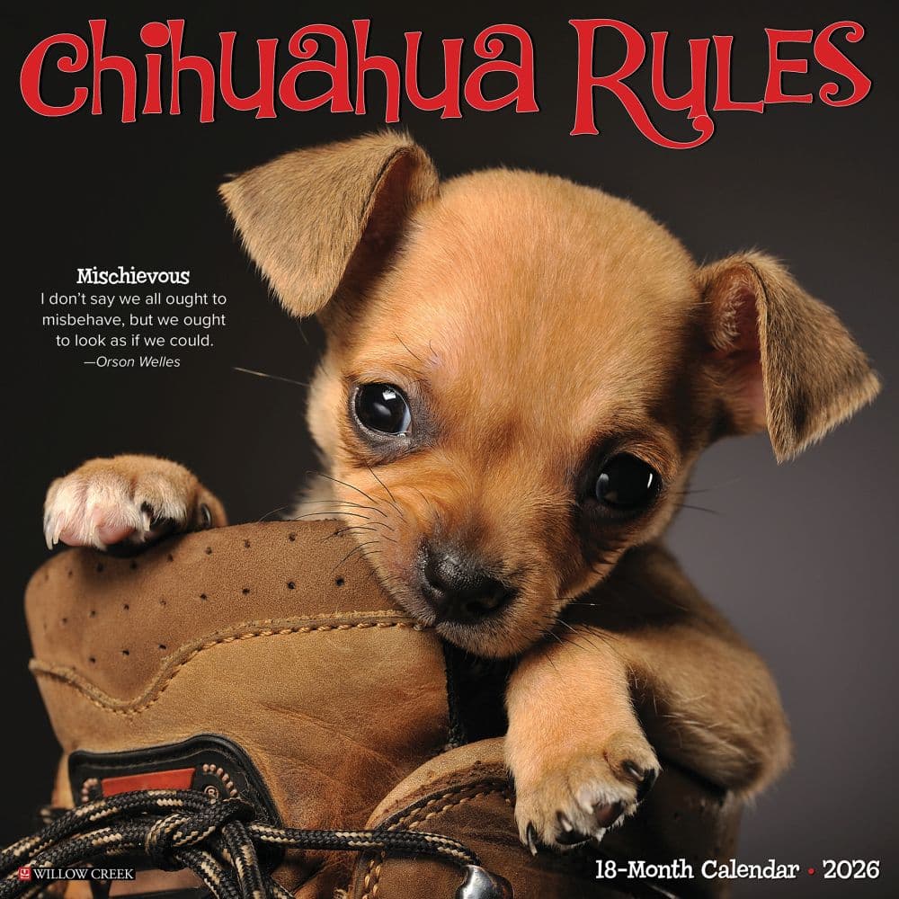 Chihuahua Rules 2026 Wall Calendar - Calendars.com